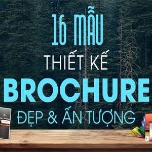 16 Best New Brochure Templates for 2019