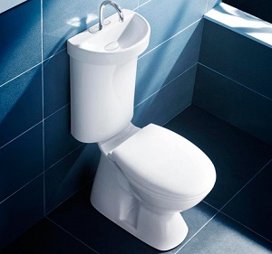 How to Choose the Perfect Toilet for your Home