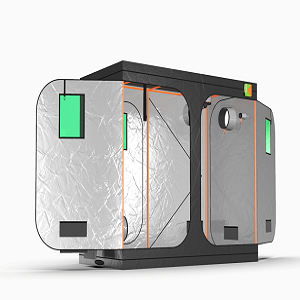 6 Reasons You Should Use Hydroponic Room For Growing Vegetables